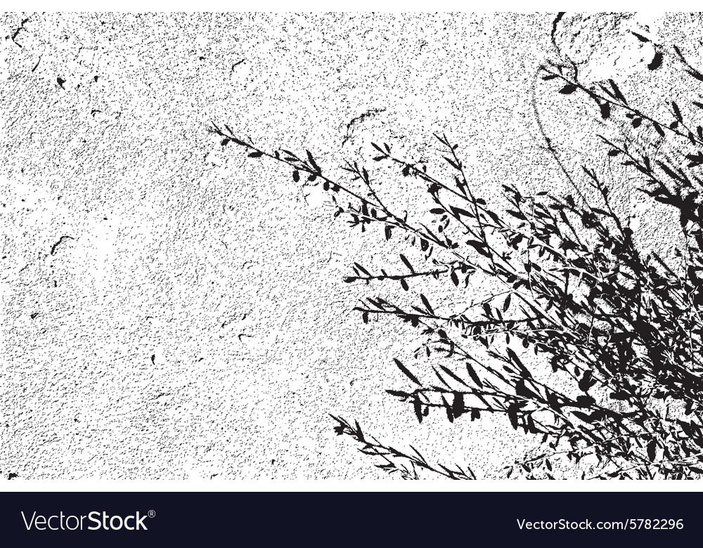 Texture Royalty Free Vector Image - VectorStock