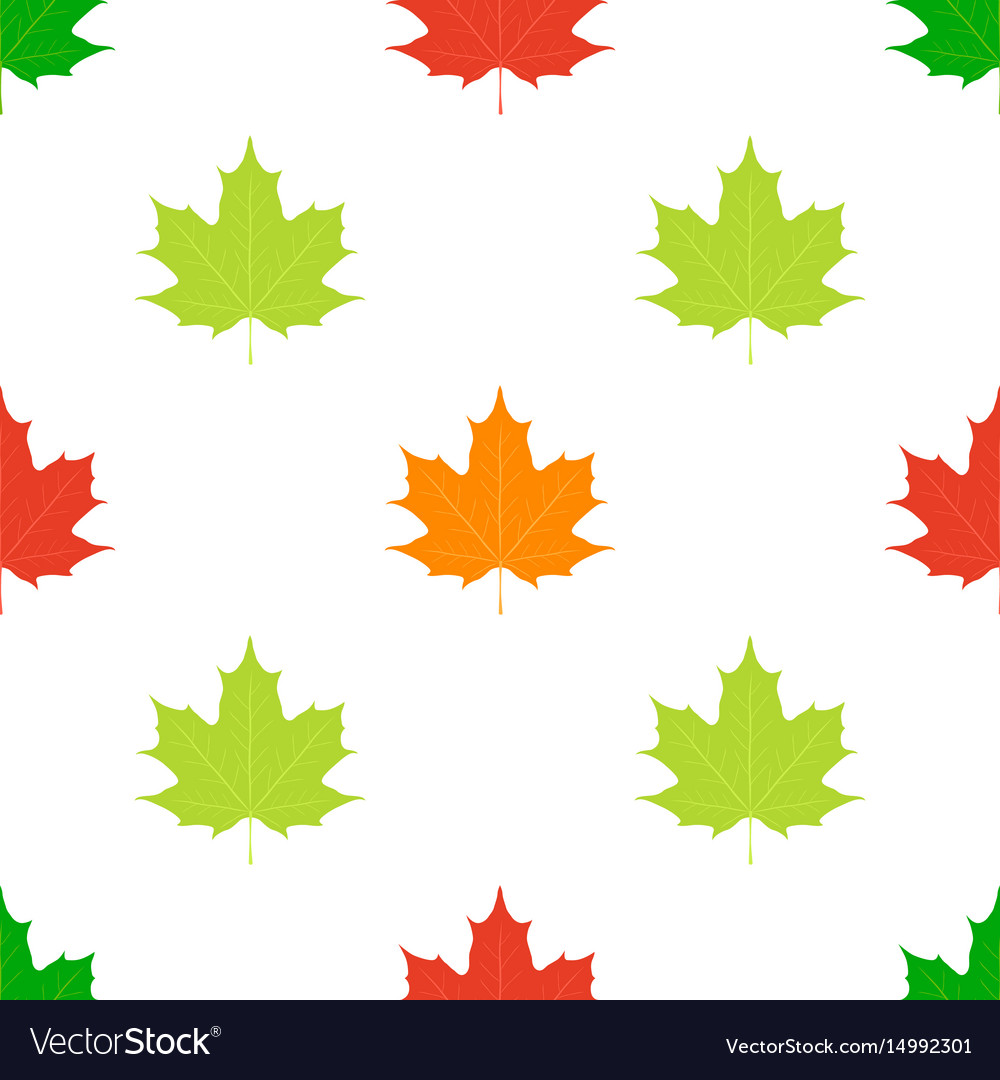 Maple leaves seamless pattern flat style Vector Image