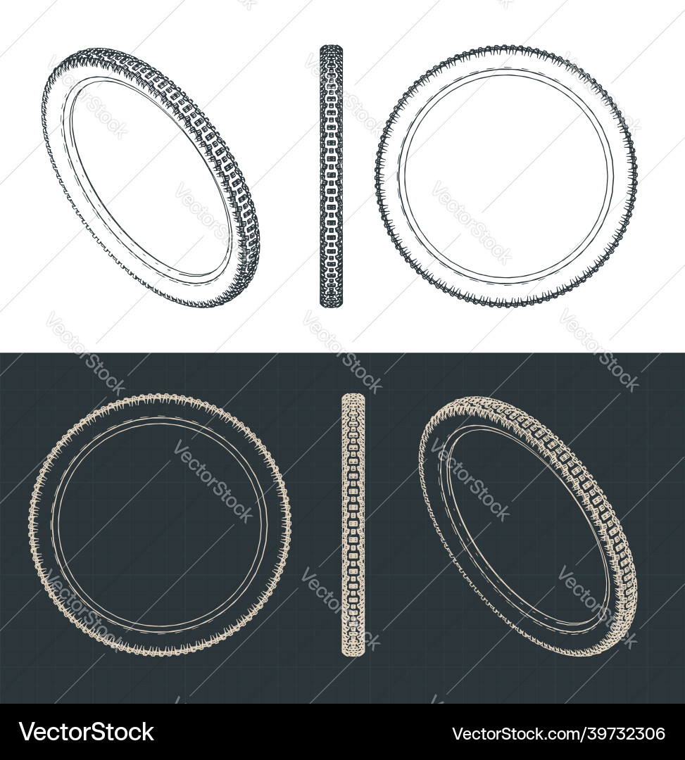 Mountain bike tire blueprints Royalty Free Vector Image