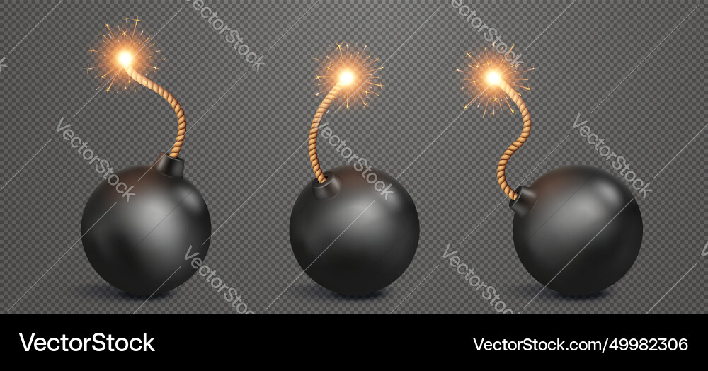 Realistic ball bomb with burning wick fuse Vector Image
