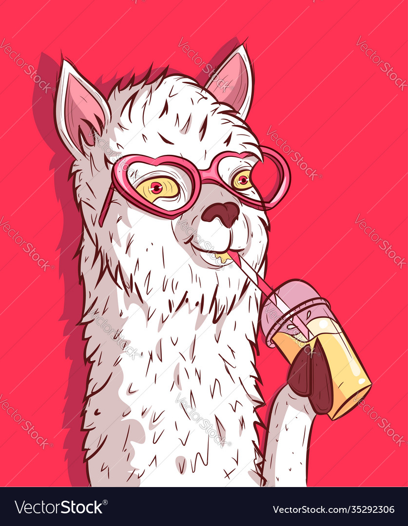 White llama with heart shaped sunglasses Vector Image