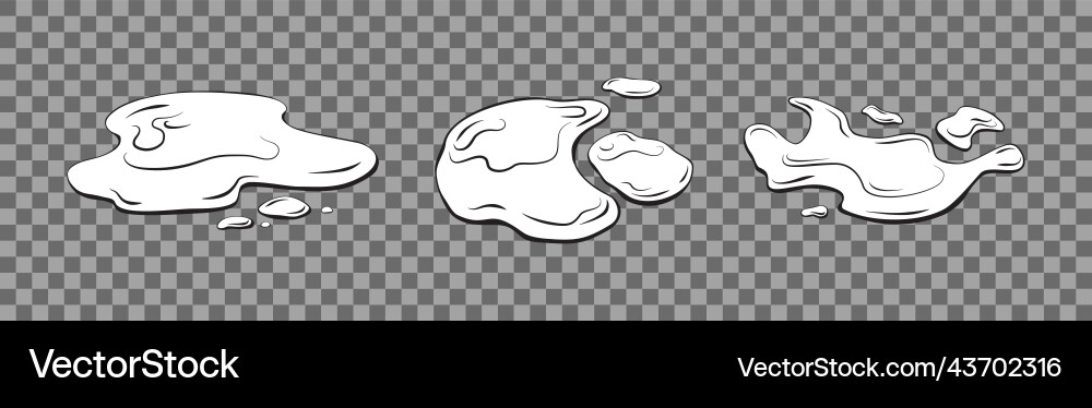 Water spill puddle on a isolated transparent Vector Image