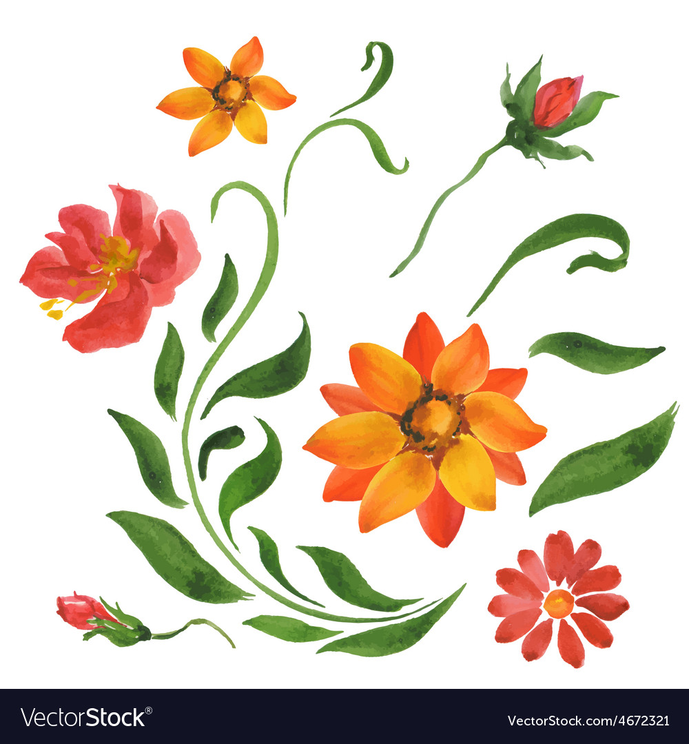 Decorative flowers Royalty Free Vector Image - VectorStock