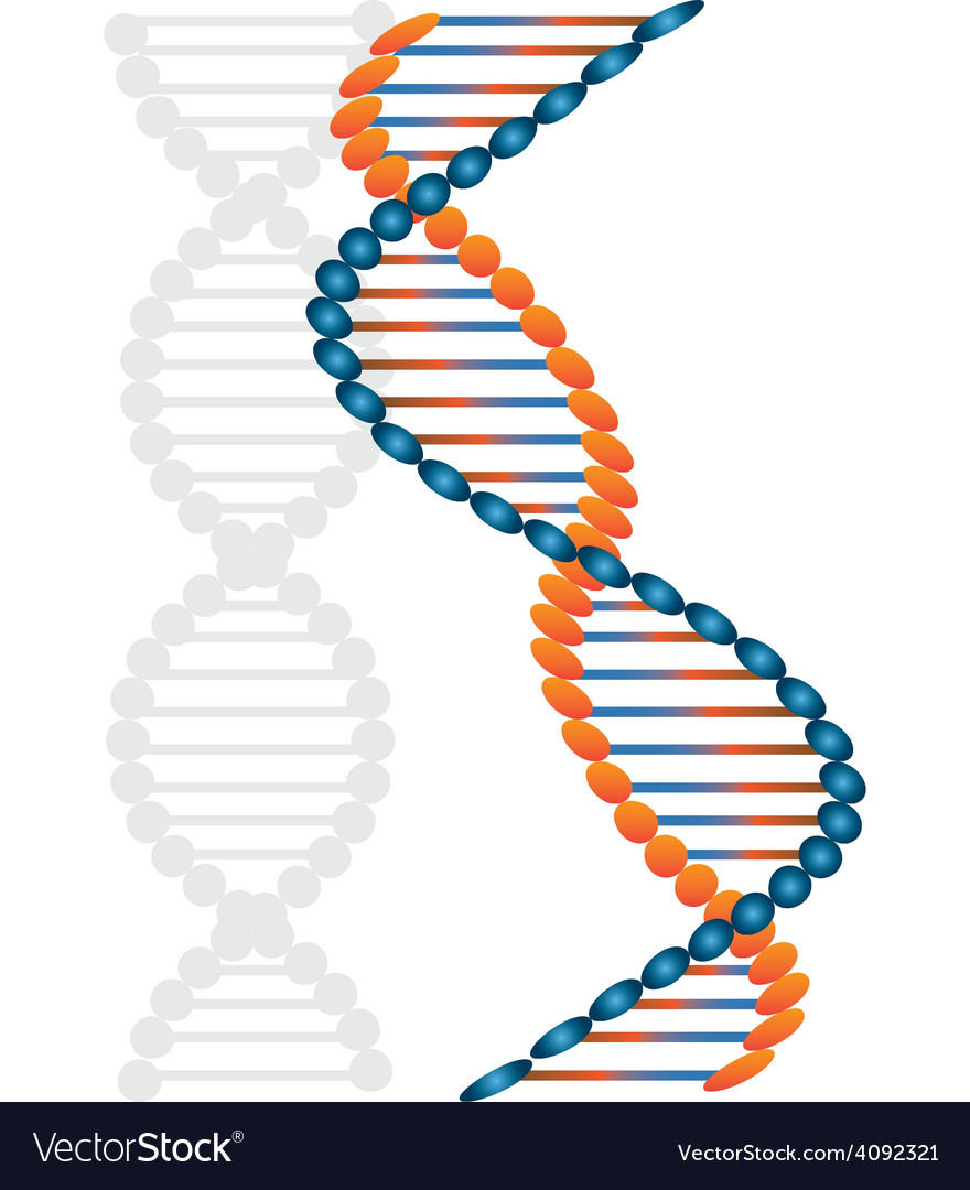 Dna design Royalty Free Vector Image - VectorStock