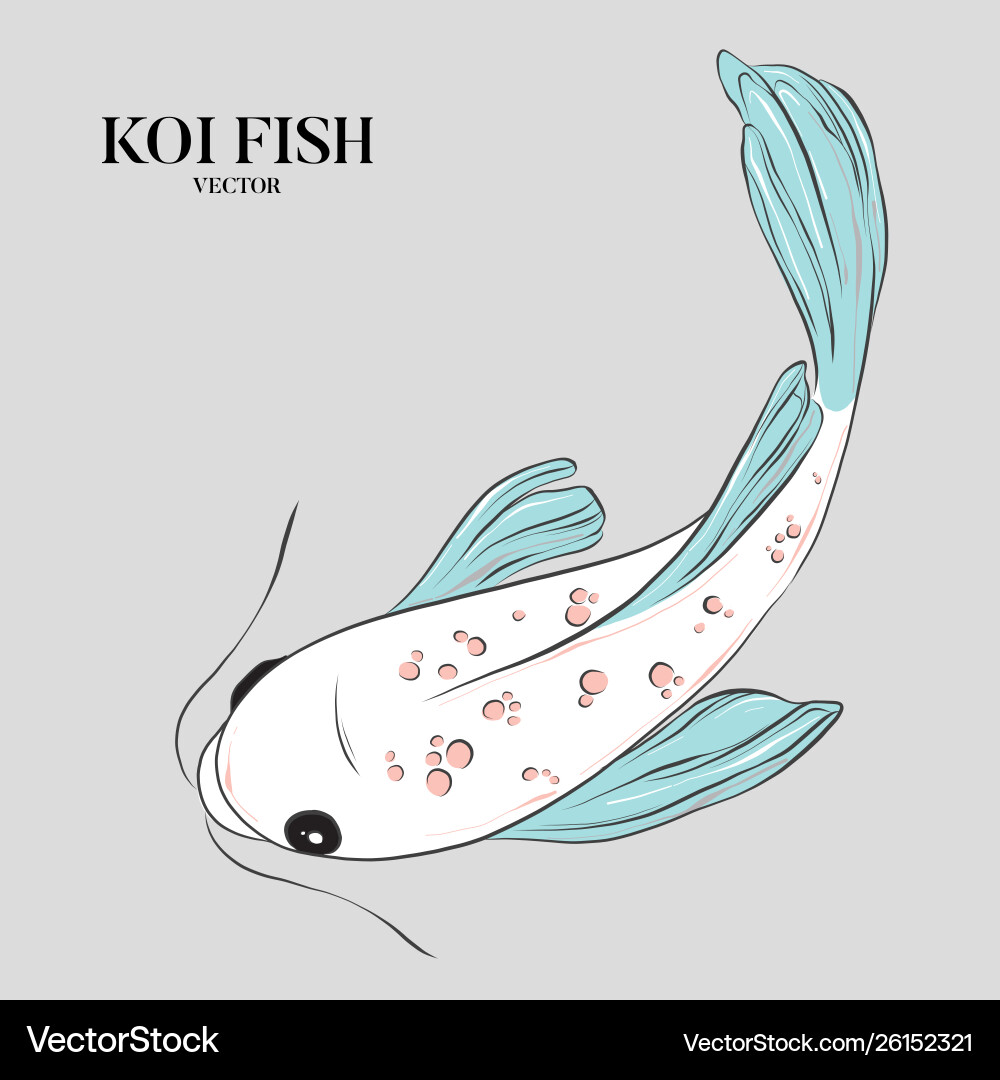 Koi fish japanese chinese oriental Royalty Free Vector Image