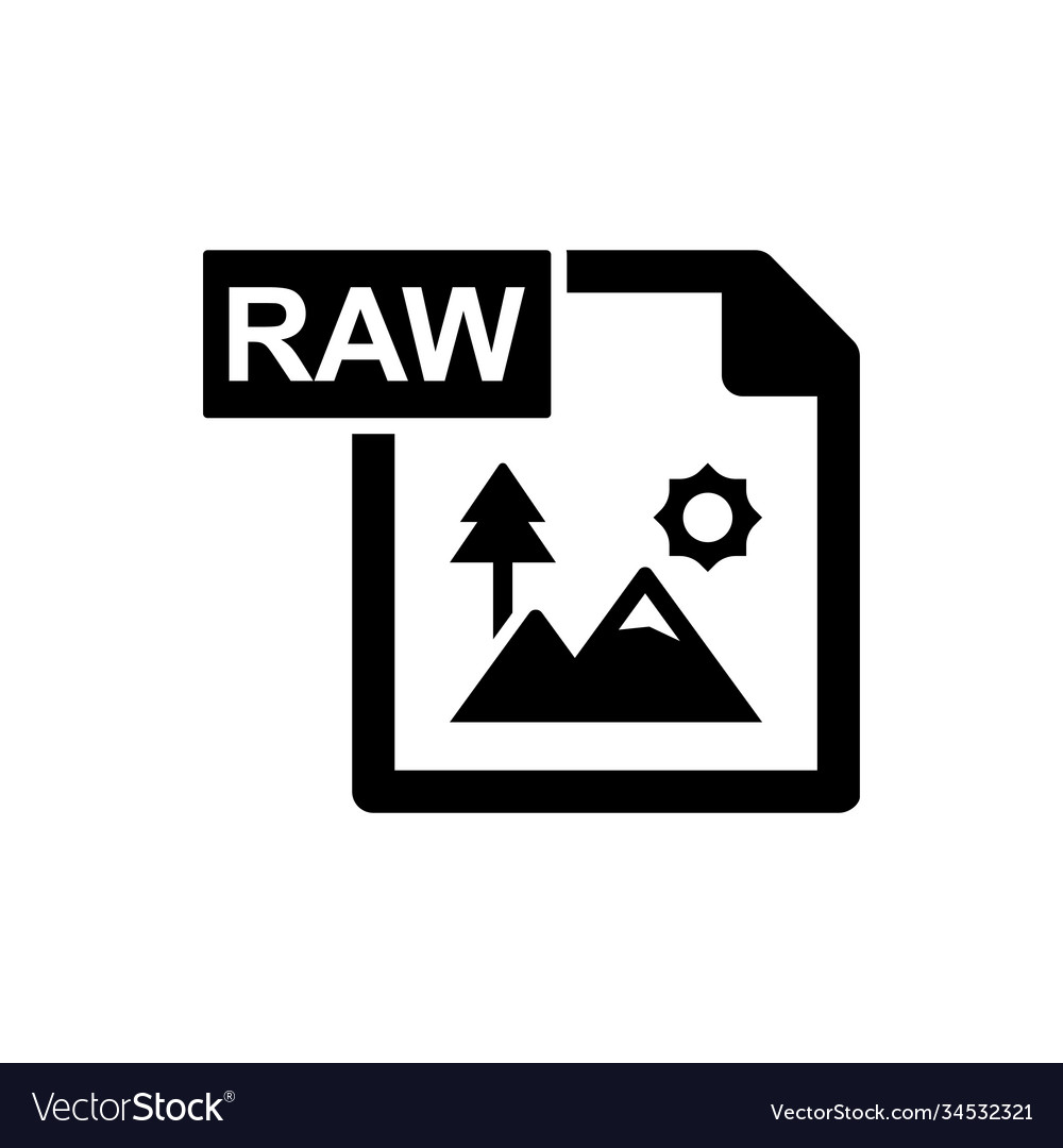 Raw image icon Royalty Free Vector Image - VectorStock