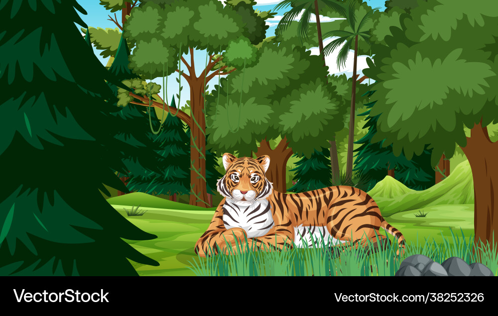 A tiger in forest or rainforest scene with many Vector Image