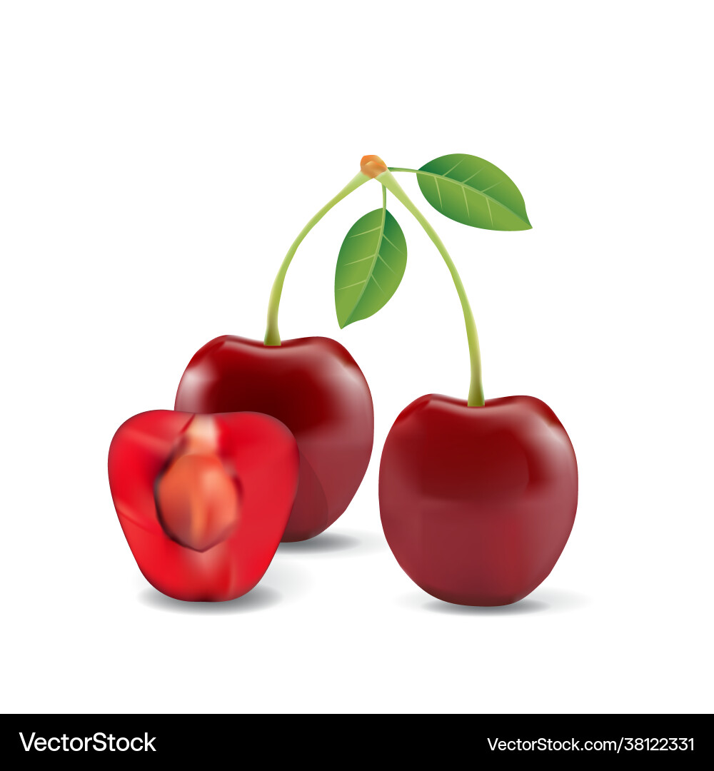 Cherry healthy organic fresh fruit summer isolated