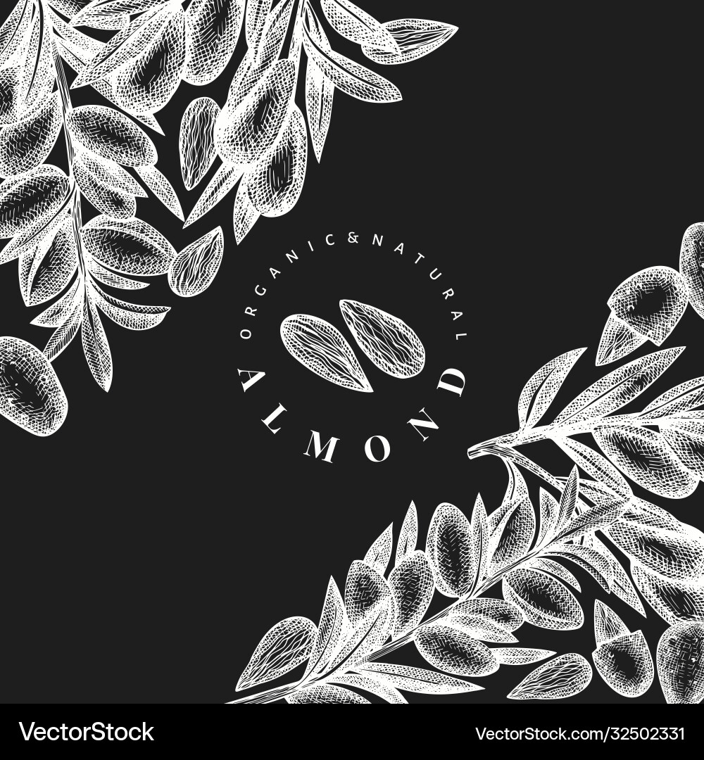 Hand drawn sketch almond design template organic Vector Image