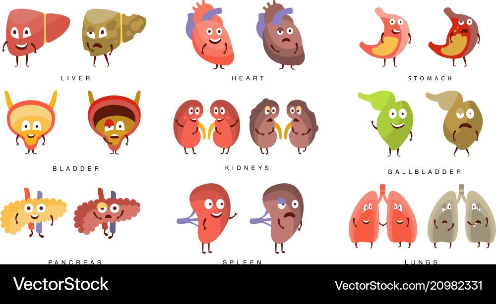 Healthy vs sick human organs infographic Vector Image