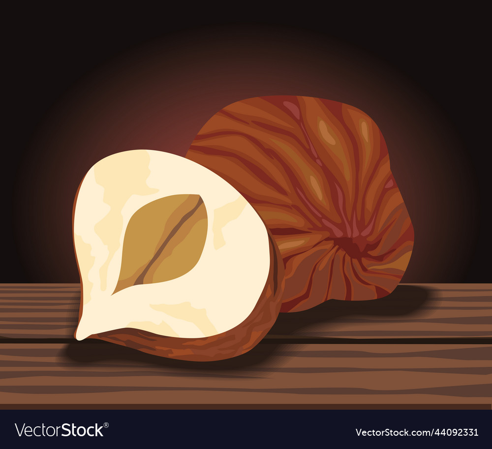 Macadamia nuts in table Royalty Free Vector Image