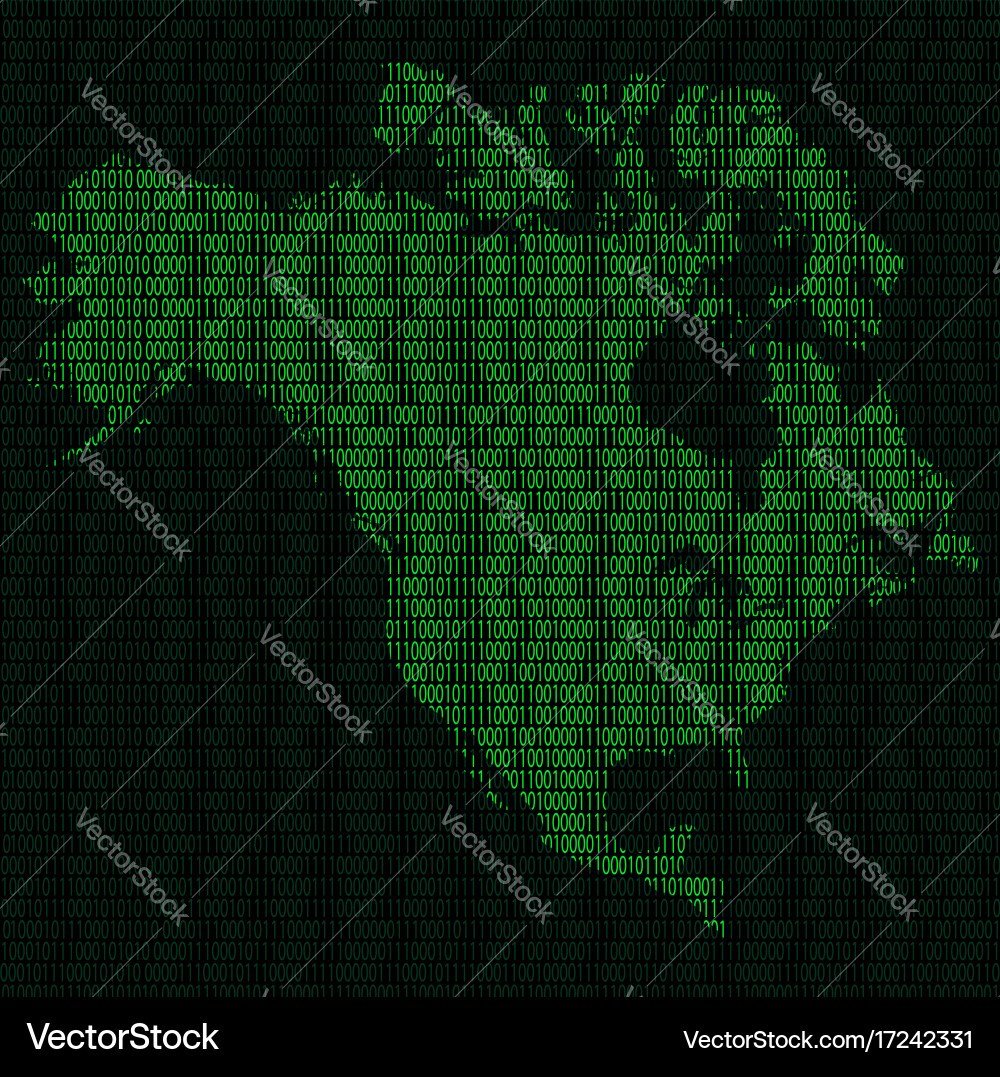 Silhouette of north america from binary digits Vector Image