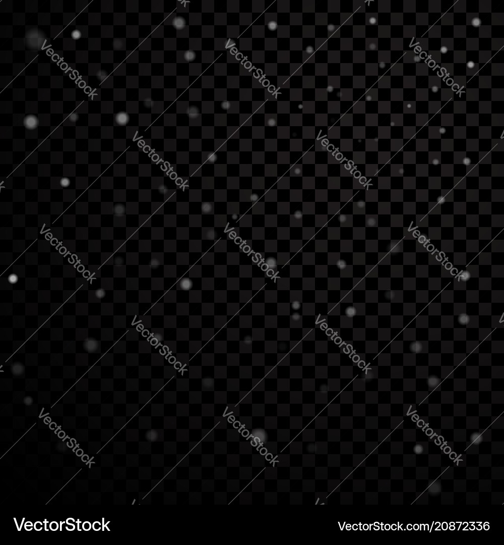 Silver stars black night sky on transparent Vector Image