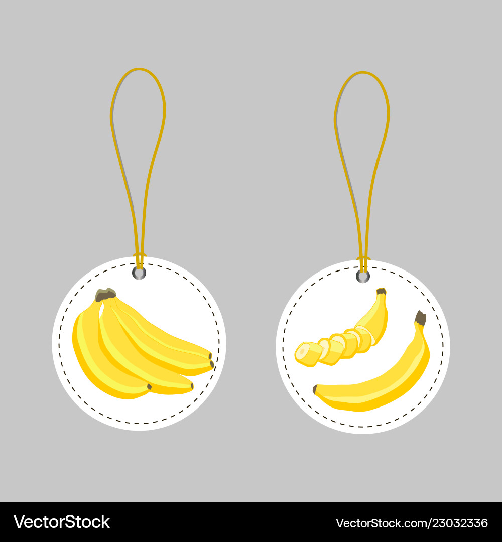 Whole ripe yellow bananas branch Royalty Free Vector Image