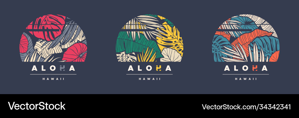Aloha hawaii set three colorful tropical Vector Image