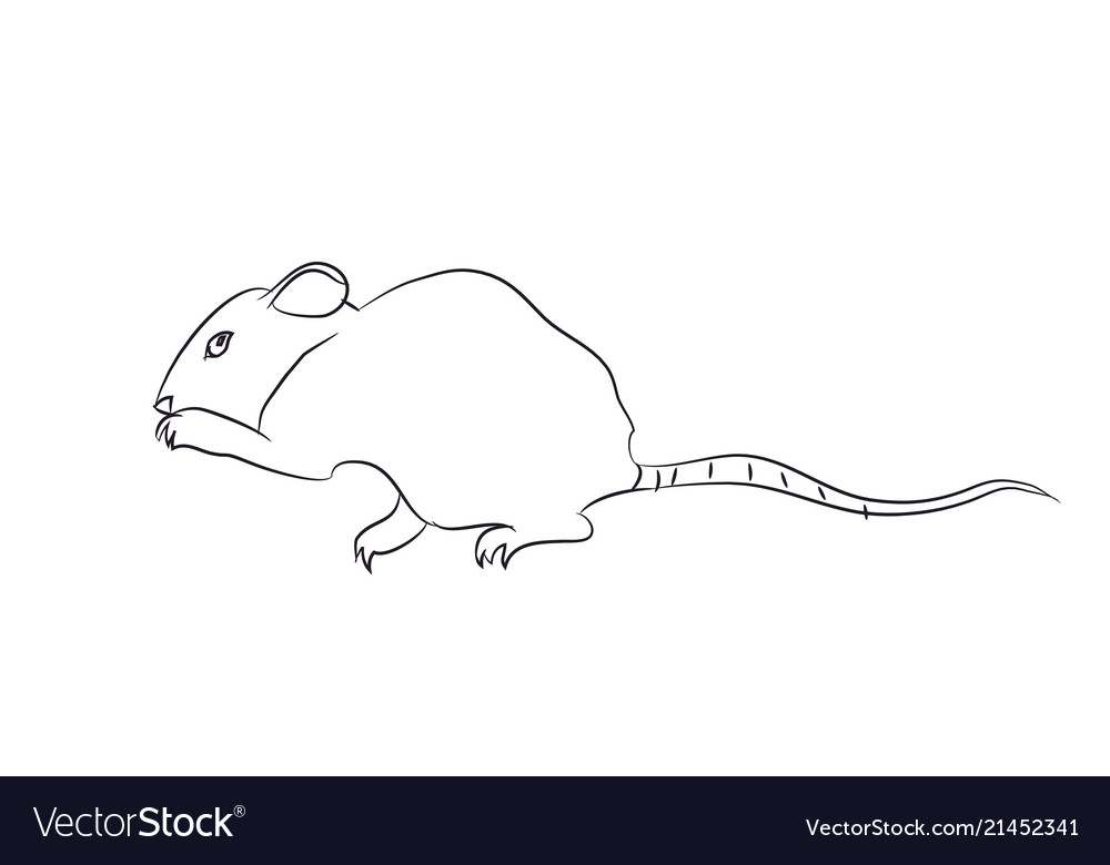Mouse lines Royalty Free Vector Image - VectorStock