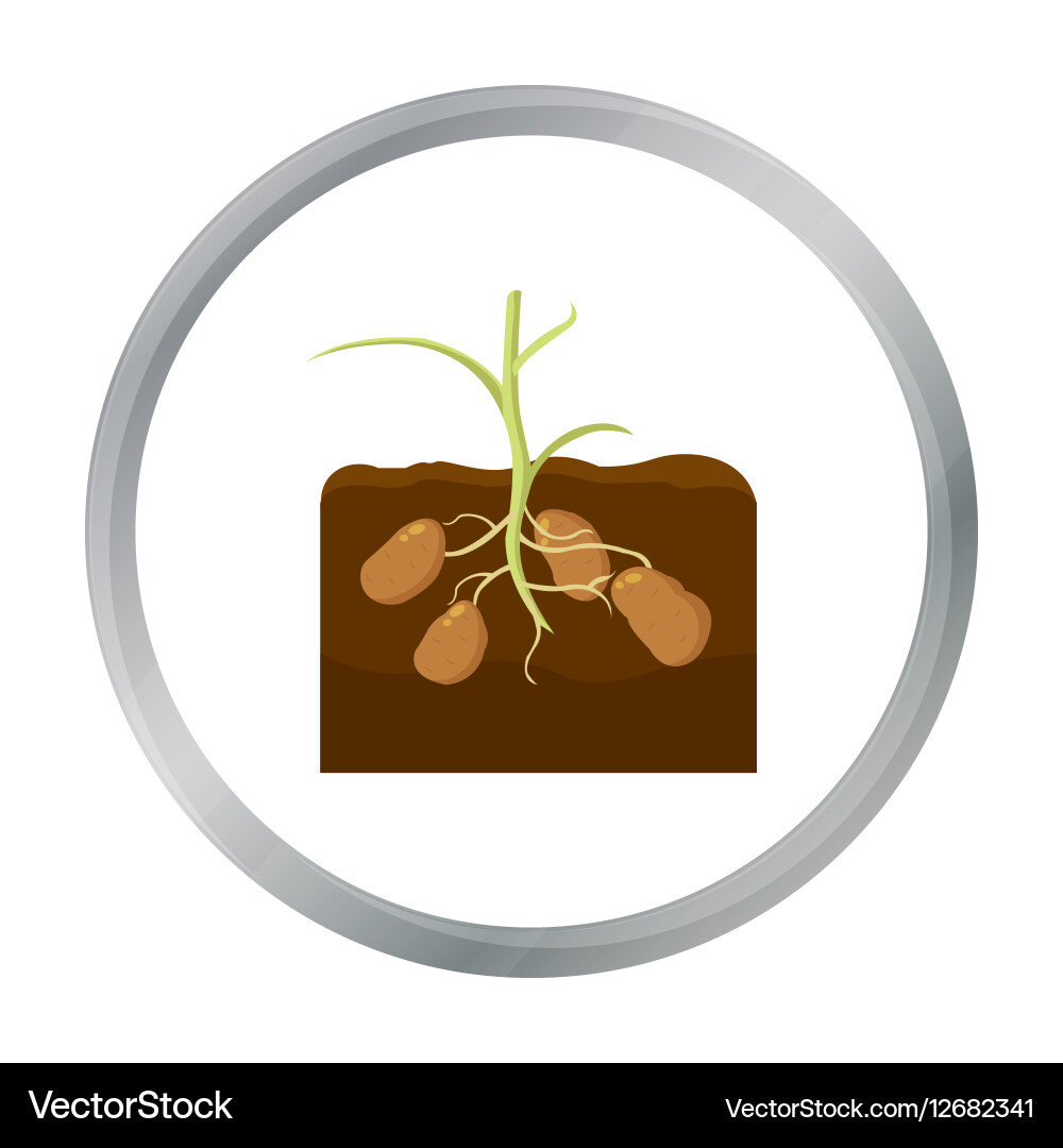 Potato icon cartoon single plant from Royalty Free Vector
