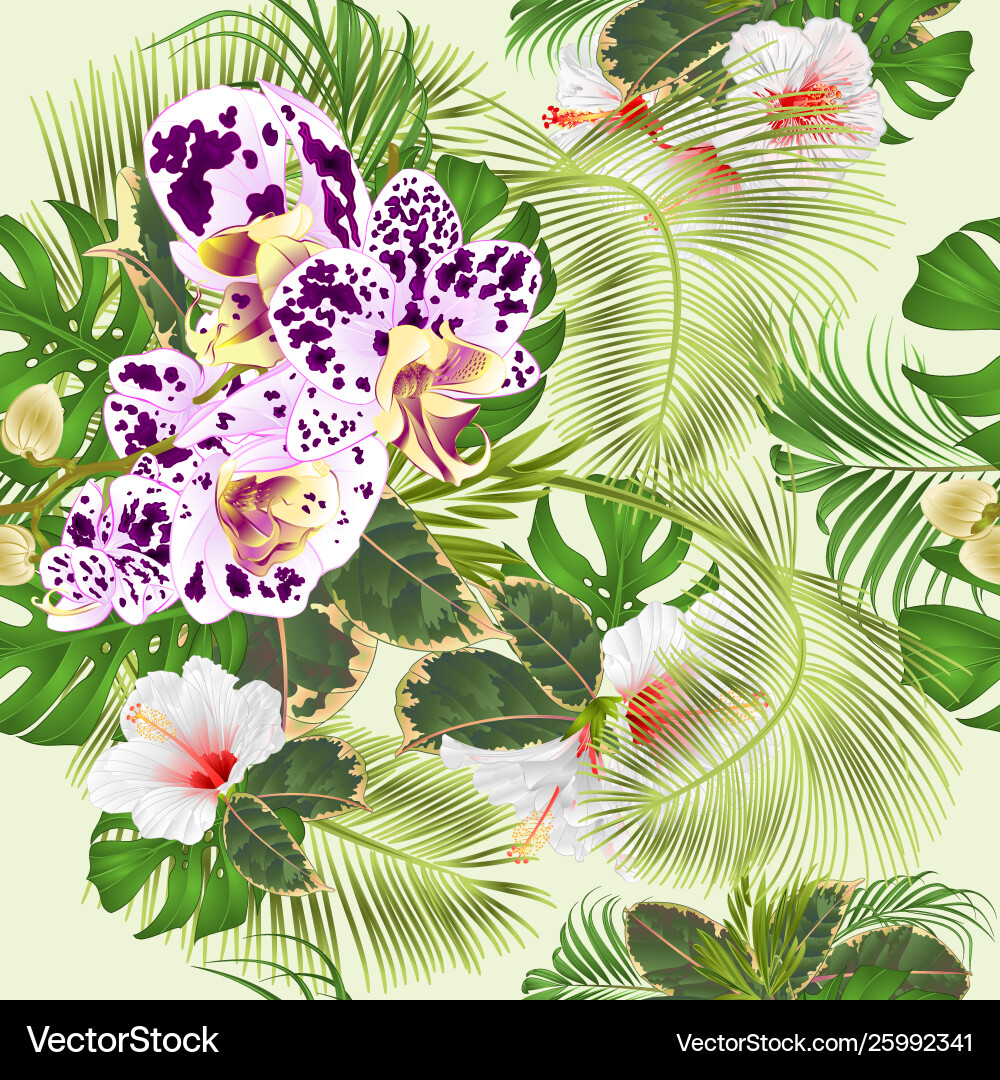 Seamless texture tropical flowers spotted orchid Vector Image