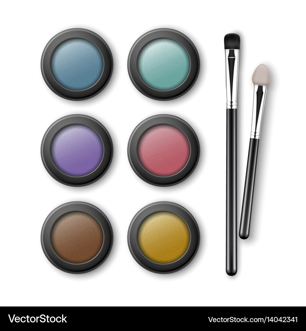 Set of multicolored eye shadows with applicators Vector Image