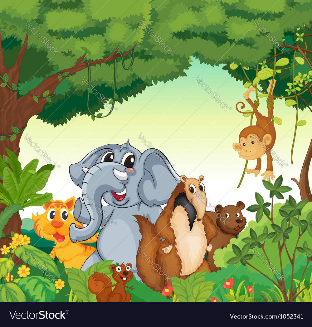 Various animals Royalty Free Vector Image - VectorStock