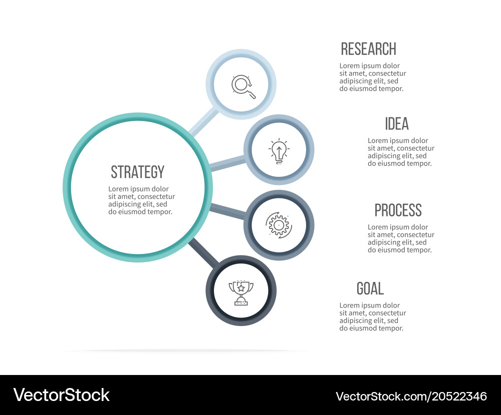 Business infographic organization chart with 4 Vector Image
