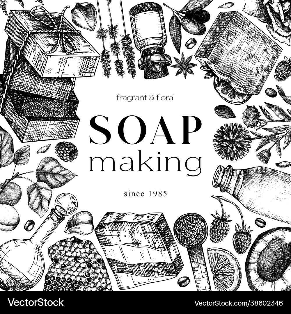 Hand-made soap ingredients design hand-sketched Vector Image