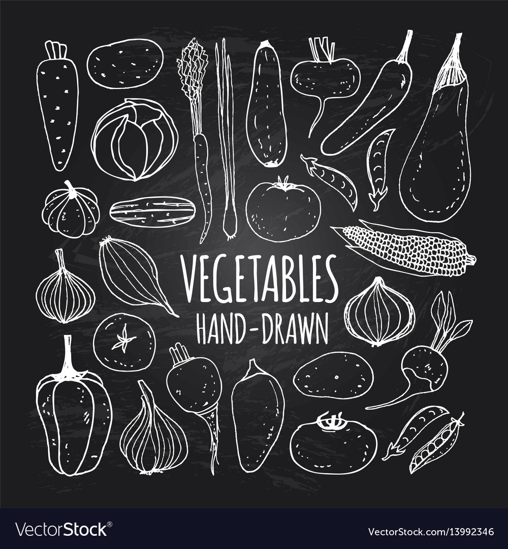 Set of vegetables in doodle style on the Vector Image