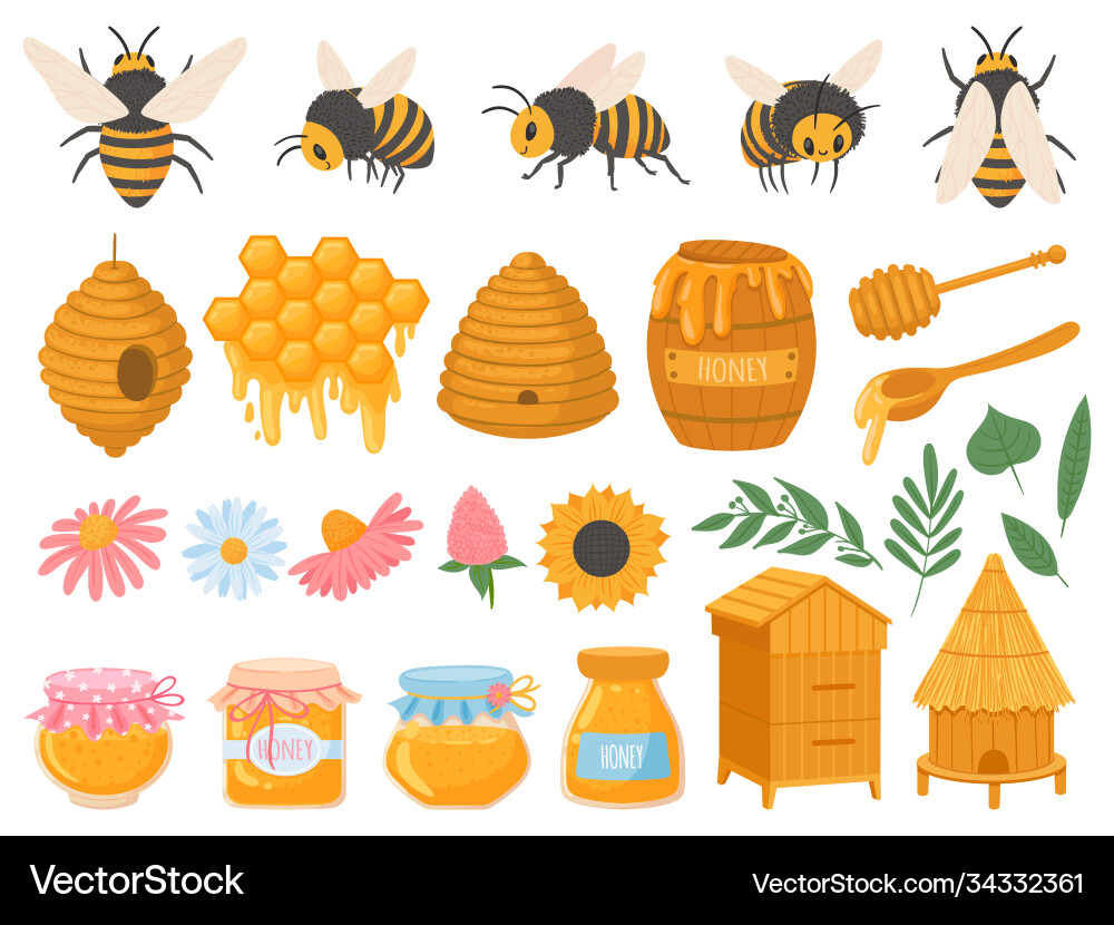 Beekeeping apiculture products various honey in Vector Image
