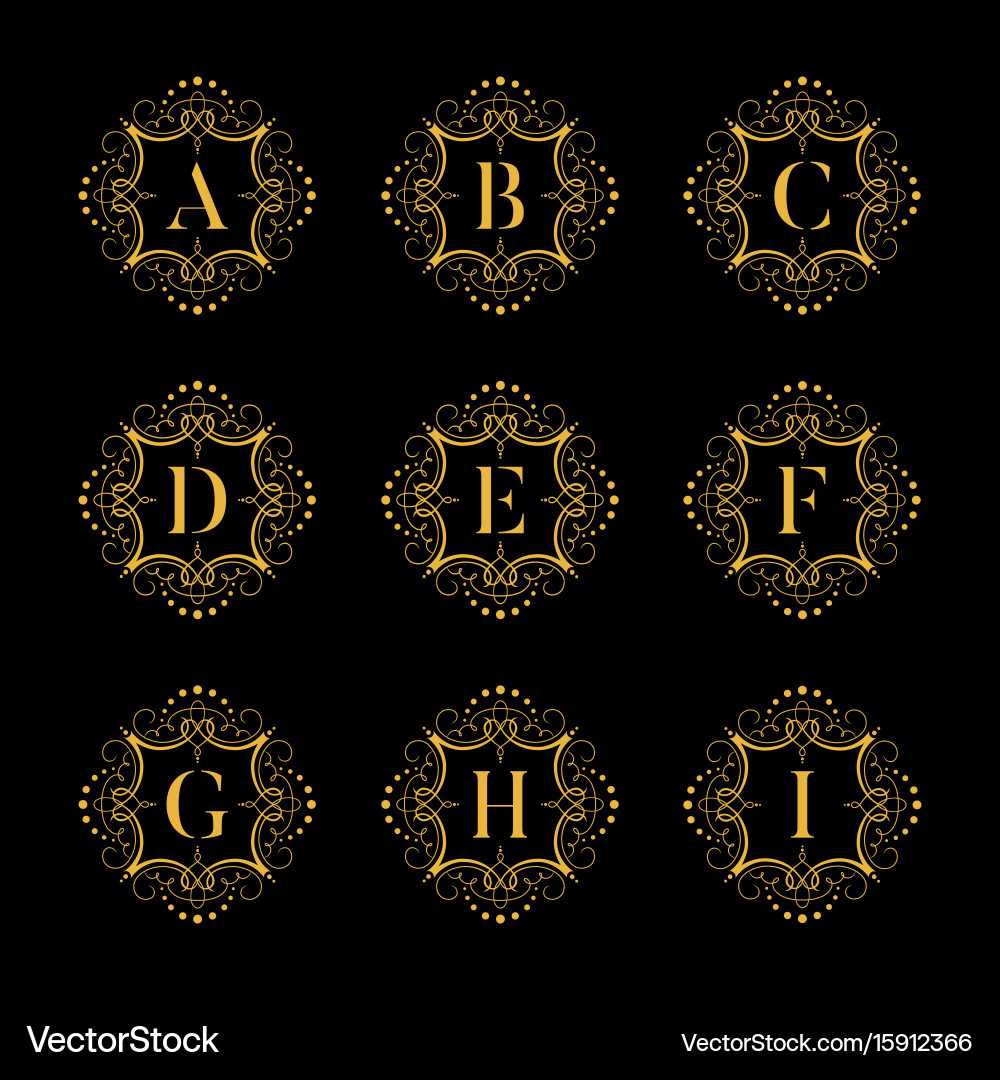 Set luxury alphabet on the black background Vector Image