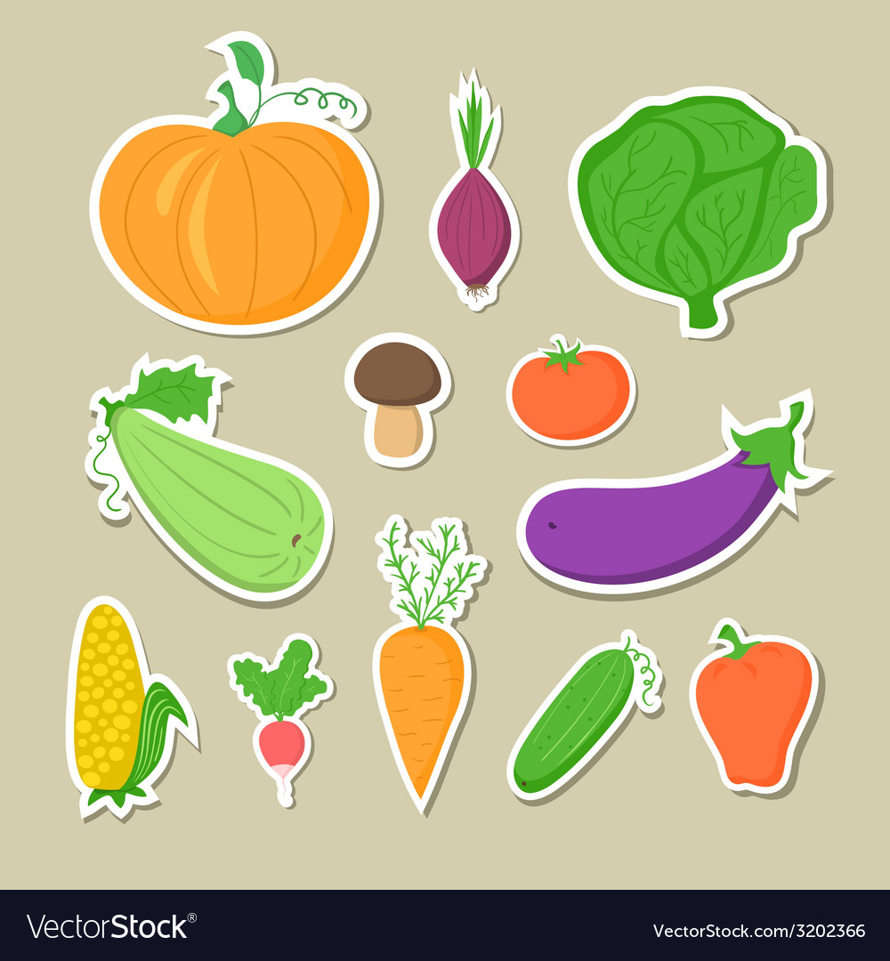 Set of vegetables Royalty Free Vector Image - VectorStock