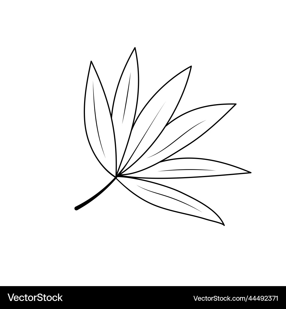 Hand drawn twig in line art doodle style Vector Image