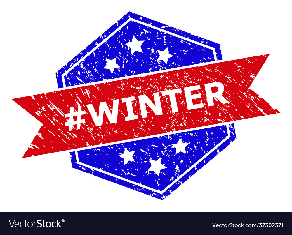 Hexagonal bicolor hashtag winter seal Royalty Free Vector Hexagonal bicolor hashtag winter seal Royalty Free Vector