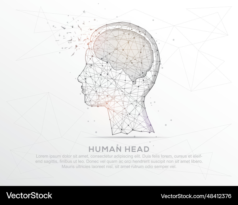Human head abstract mash line and composition Vector Image