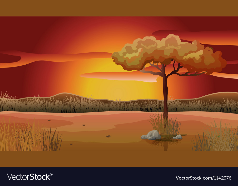 Sunset view Royalty Free Vector Image - VectorStock