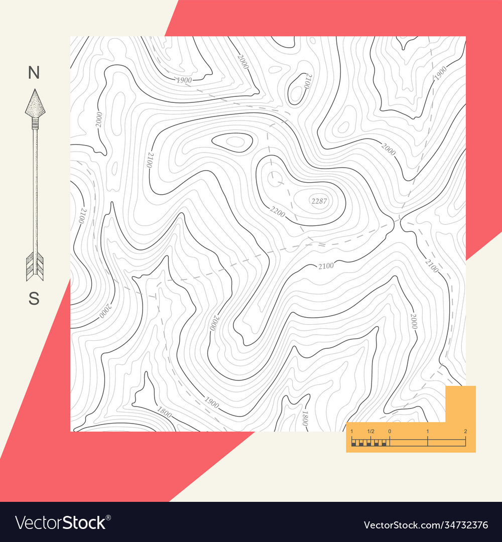 Topographic line map topography pattern map Vector Image