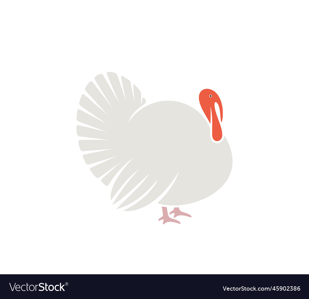 Turkey Royalty Free Vector Image - VectorStock