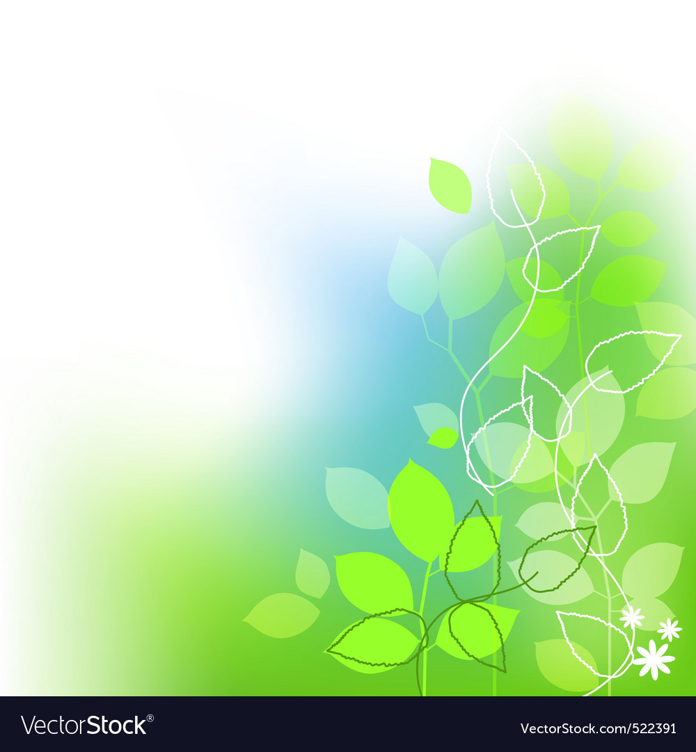 Fresh leaves summer background Royalty Free Vector Image