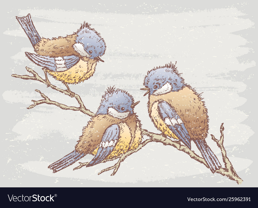Three birds Royalty Free Vector Image - VectorStock