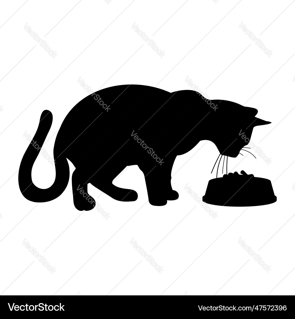 Cat eating from a bowl icon isolated on white Vector Image
