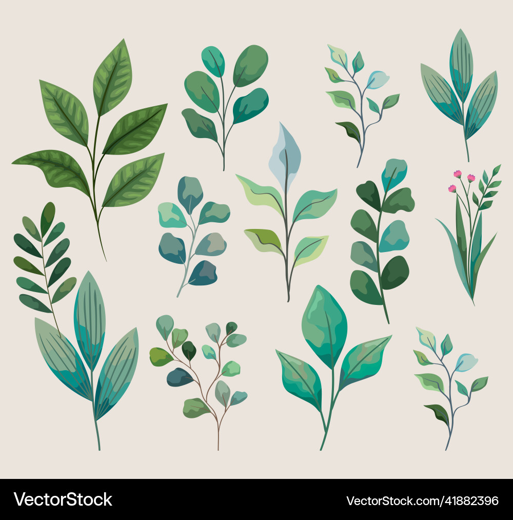 Icons with natural foliage Royalty Free Vector Image