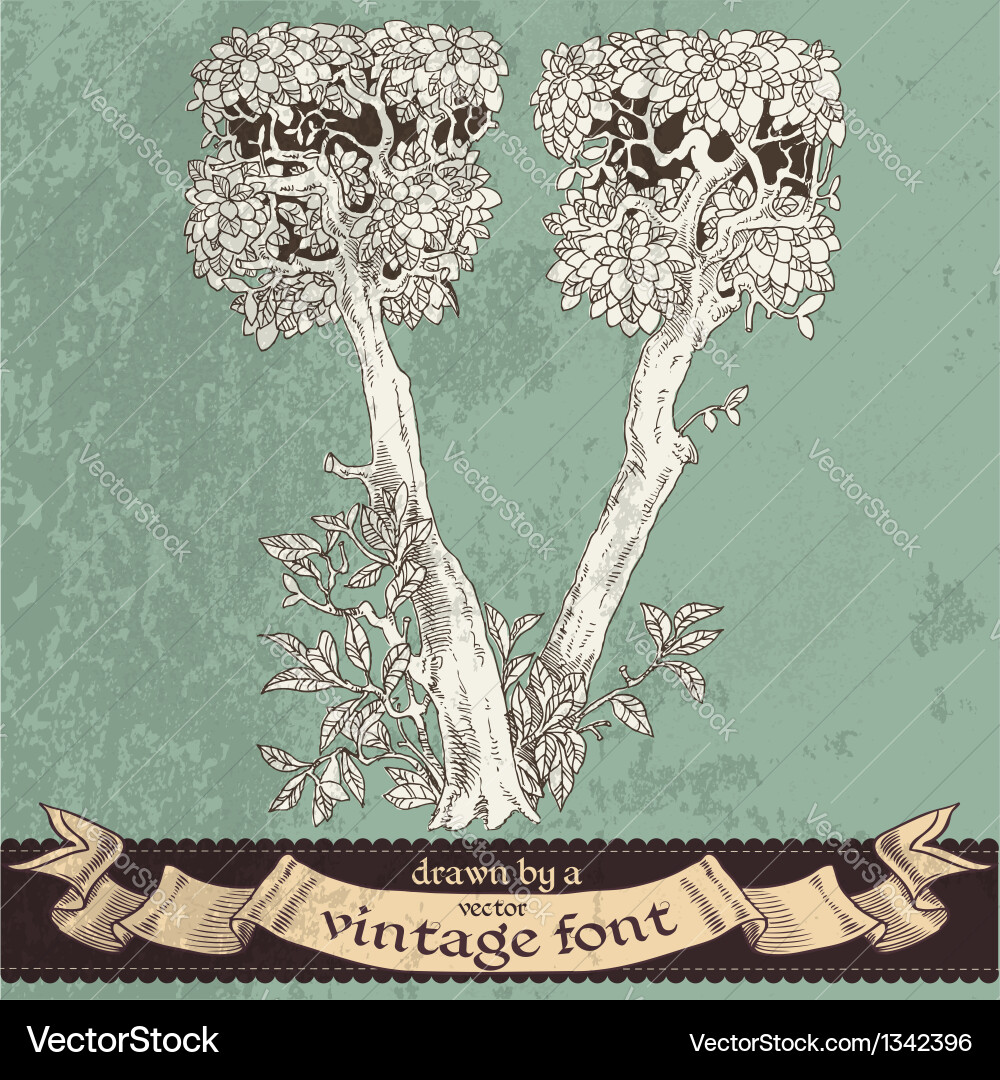 Magic grunge forest hand drawn a vintage font Vector Image