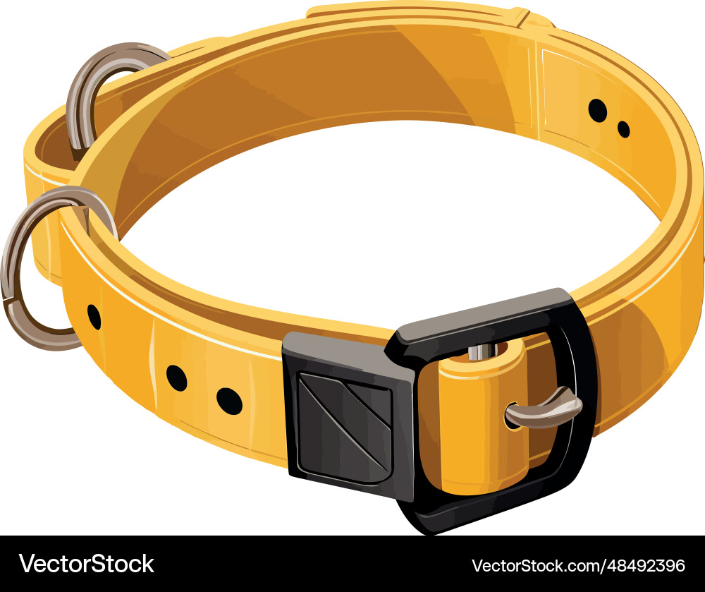 Metallic dog collar with gold color Royalty Free Vector