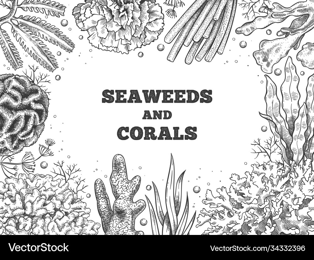 Seaweed background reef aquatic weed and corals Vector Image