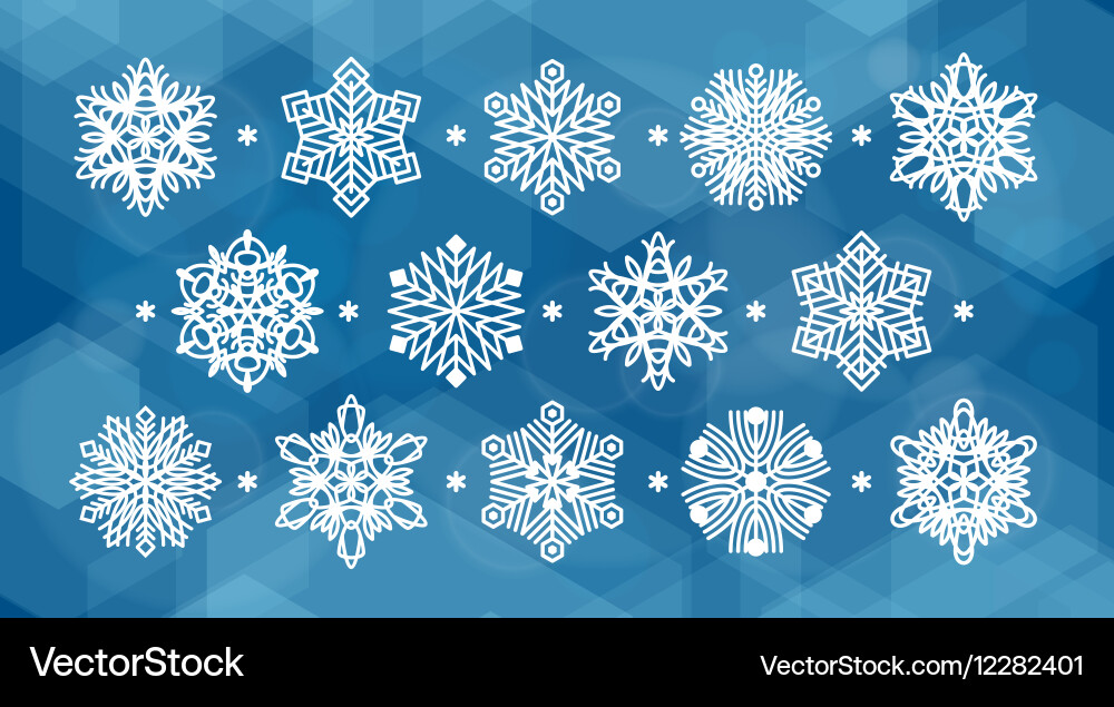 Set of white snowflakes Royalty Free Vector Image