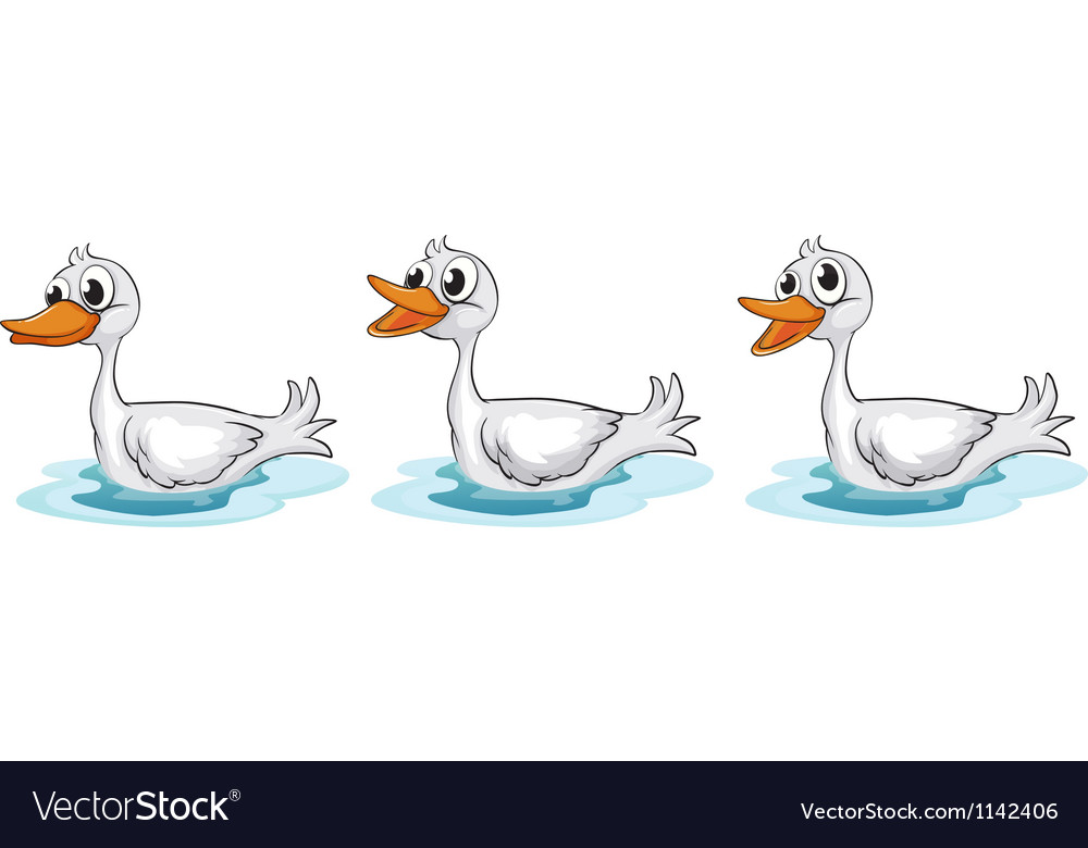 Smiling ducks Royalty Free Vector Image - VectorStock
