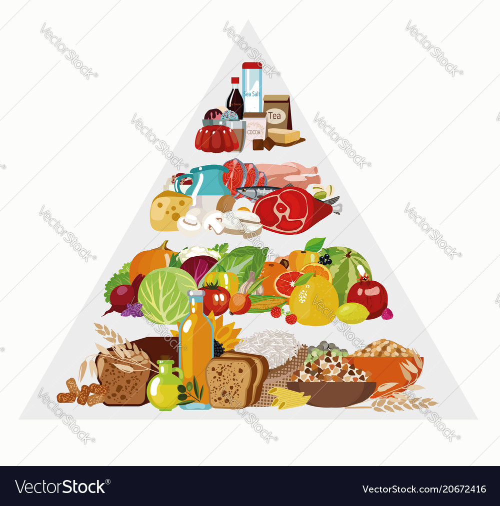Food pyramid Royalty Free Vector Image - VectorStock