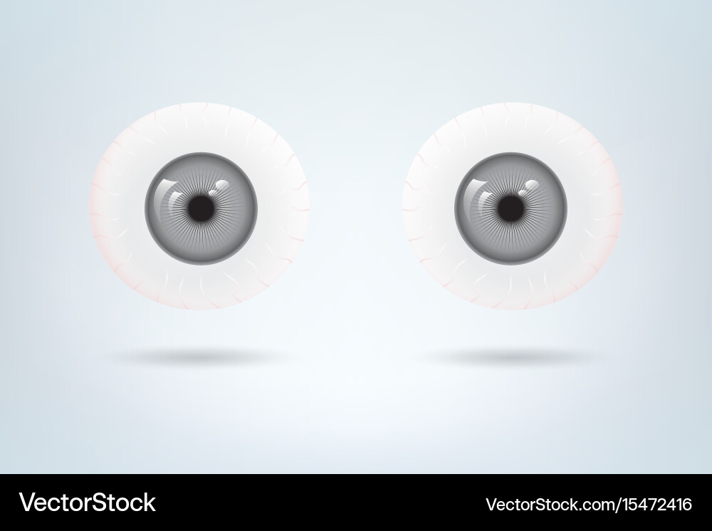 Human grey eyes balls pupil medical visual Vector Image