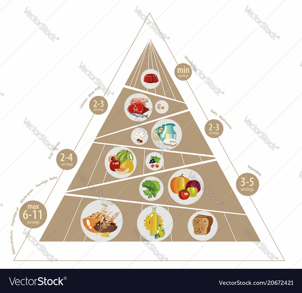 Food pyramid Royalty Free Vector Image - VectorStock