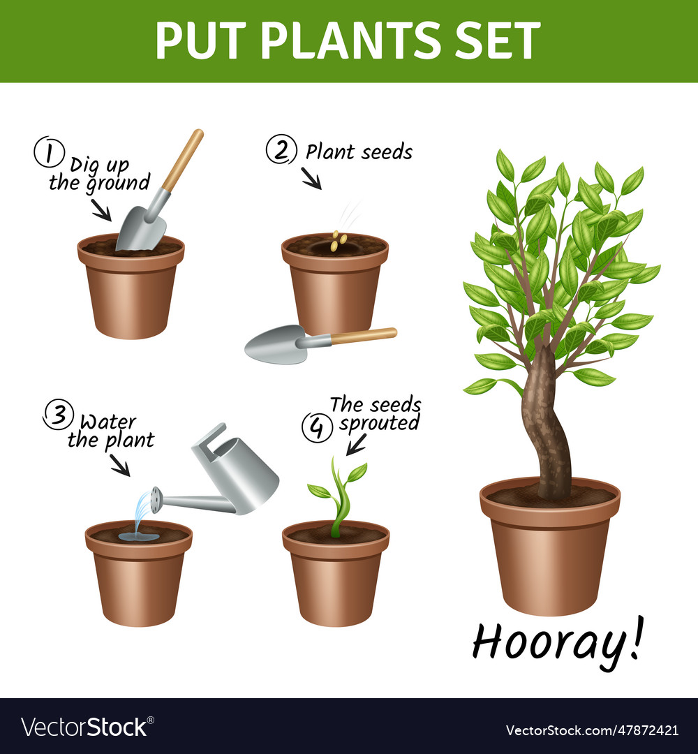 Putting plants icons set putting plants icons set Vector Image