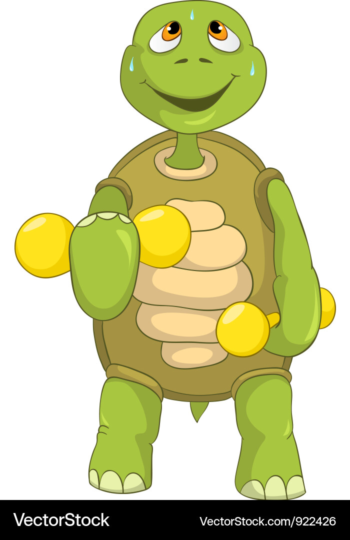 Funny turtle gym Royalty Free Vector Image - VectorStock